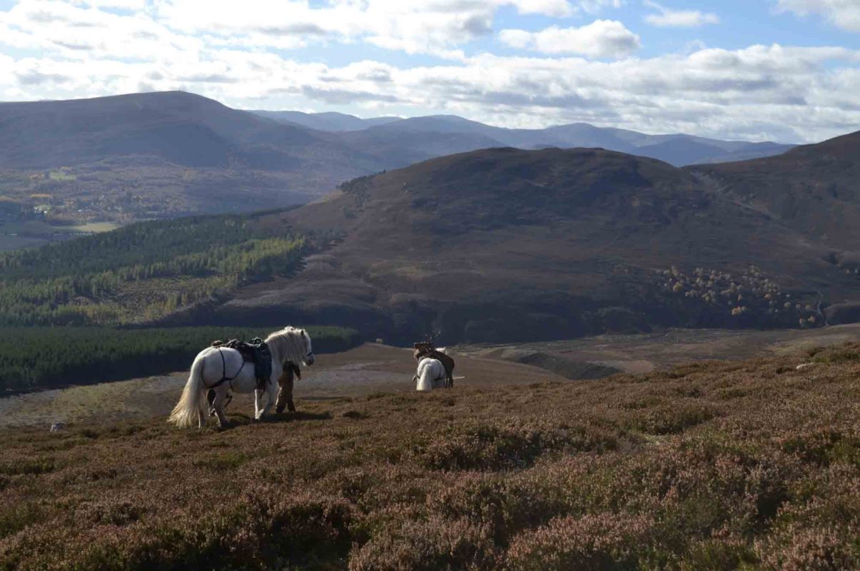På jagt i det skotske højland - smuk natur og store jagtoplevelser i ...